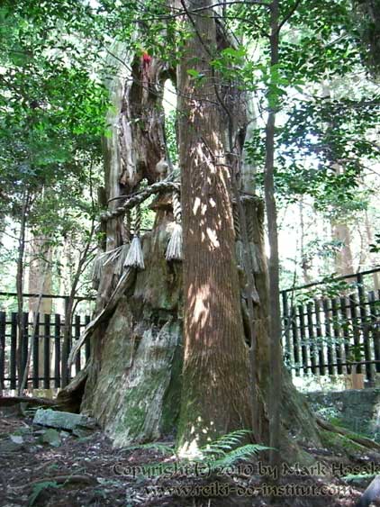 Geheimnisvoller Kurama - Shingon Reiki